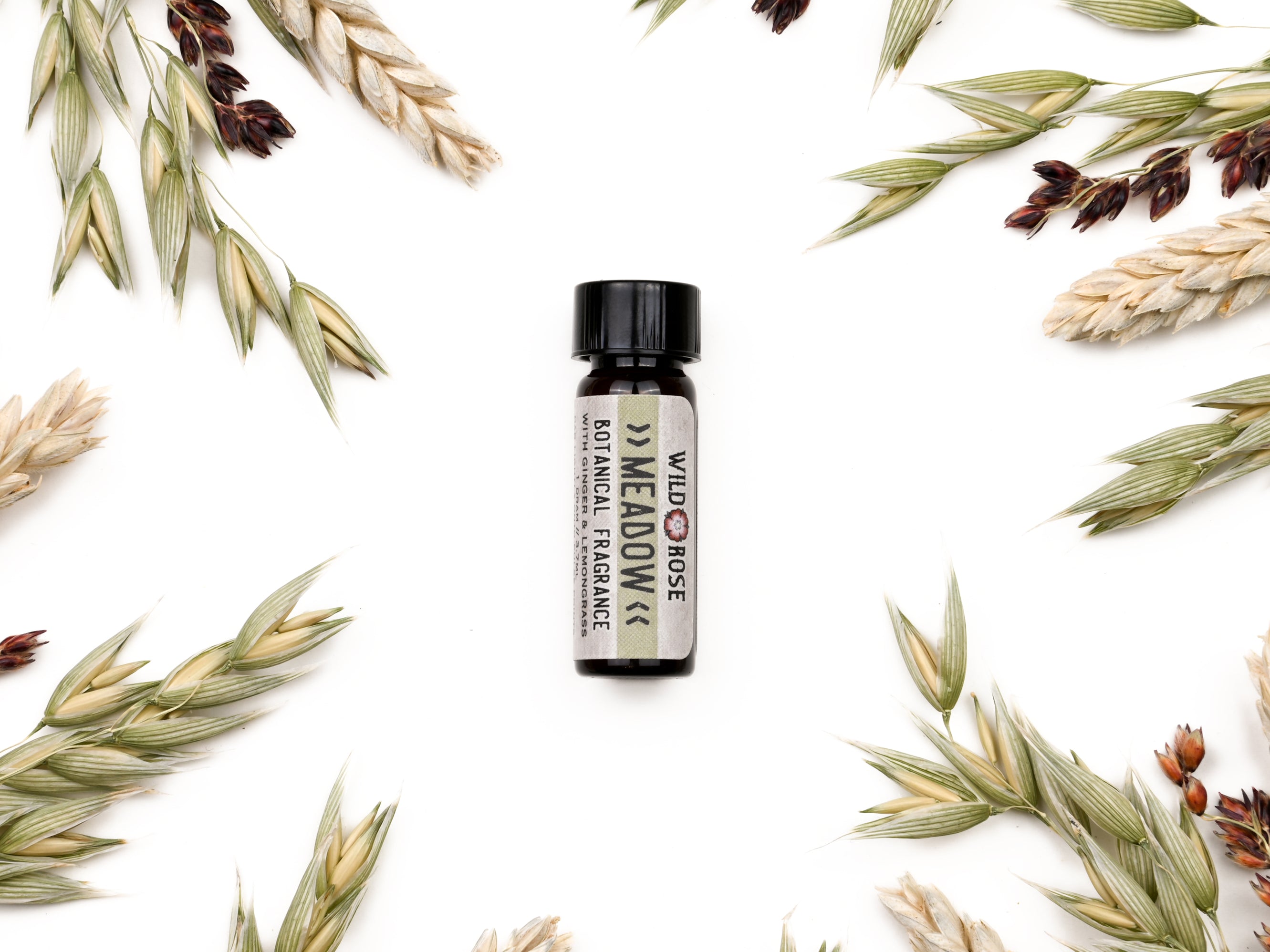 Meadow Botanical Fragrance– Wild Rose